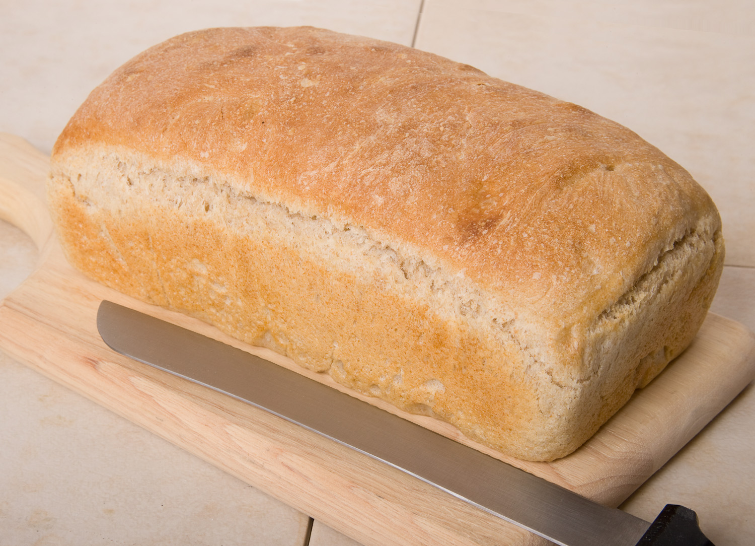 Basic Stand Mixer Bread Dough Recipe